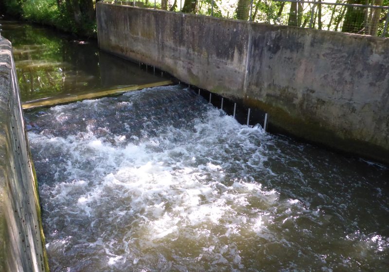 Fish and eel passes and barriers - APEM