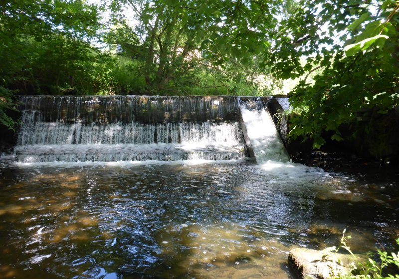 Fish and eel passes and barriers - APEM