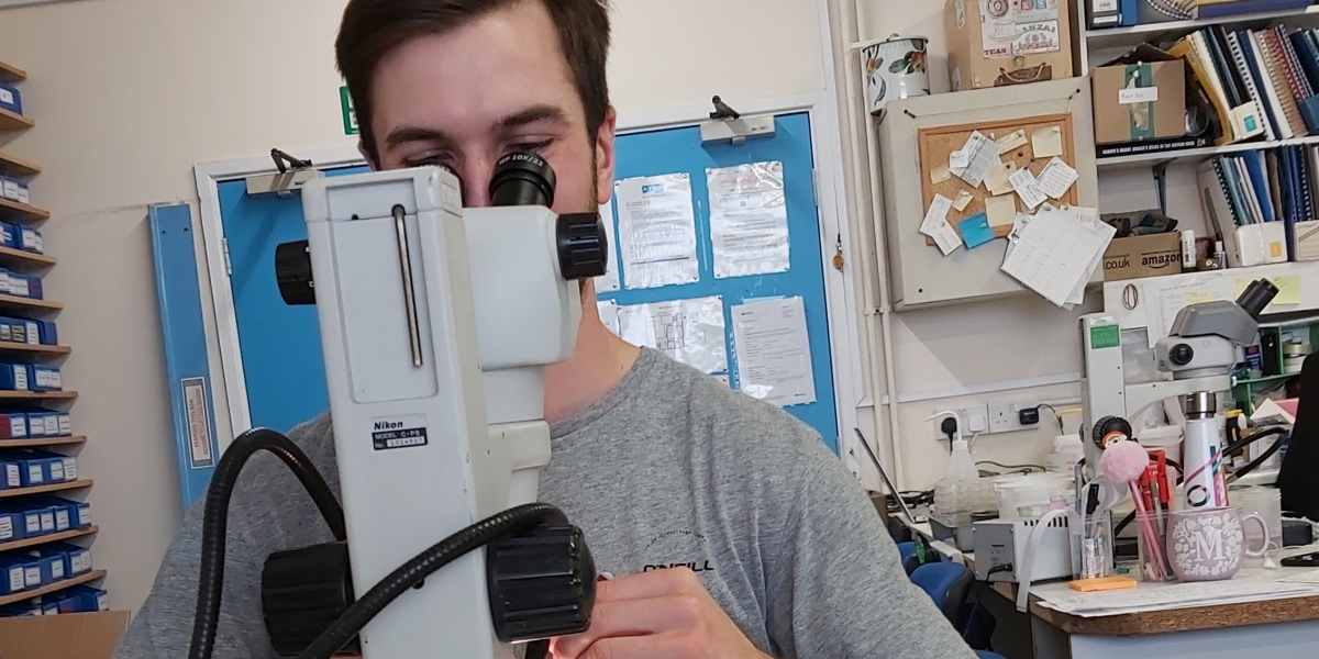 A passion for marine life in all shapes and sizes – Aston Lockwood